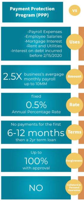 STIMULUS BRIEFING – PPP – CaroKim Consulting LLC